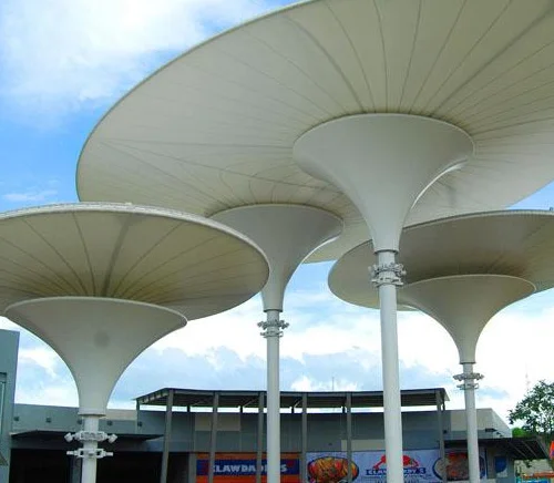 Entrance Tensile Structure in Noida | Mega Tensile